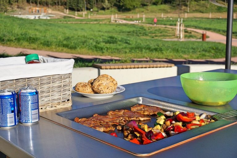 Embracing Electric and Solar Electric BBQs - Greenplate®